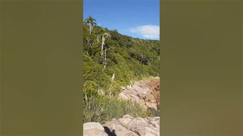 Pico Secreto 2 Floripa Youtube