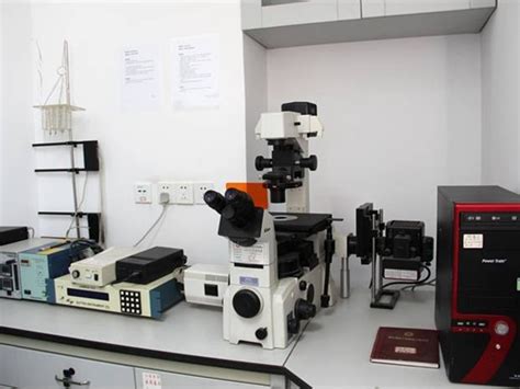 重庆医科大学附属儿童医院 怎么样 地址 电话 挂号方式 中国医药信息查询平台