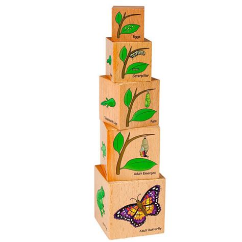 Harrison2inspire Lifecycle Wooden Block Stackers Set Of 5 Nesting