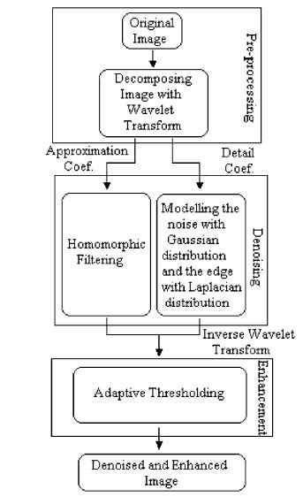 A Wavelet Based Mammographic Image Denoising And Enhancement With Homomorphic Filtering ⭐ متلبی