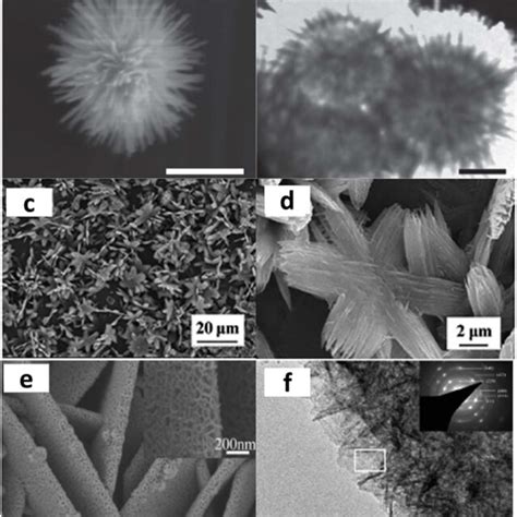 Typical Structural Characteristics Of Other Hierarchical Nanostructures Typical Structural Characteristics Of Other Hierarchical Nanostructures