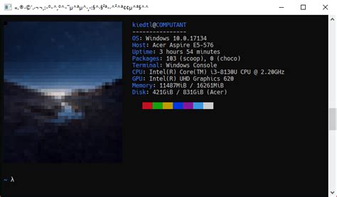 image randomly garbled · issue 8 · lptstr winfetch · github