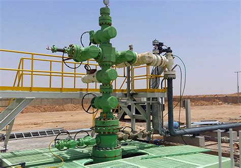 Well Integrity Solution Ujiro Energy Services