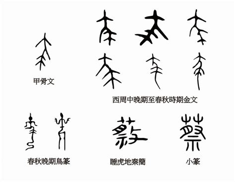 甲骨文的「刖」字與古代中國的刖刑 Case 報科學