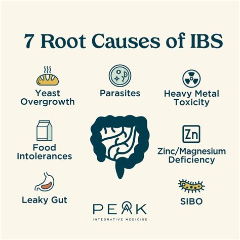 7 Root Causes Of Irritable Bowel Syndrome Cause Of Ibs