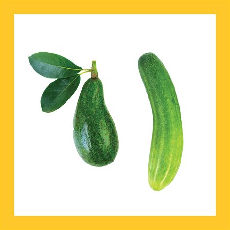Types Of Penis Shapes Coderbillo