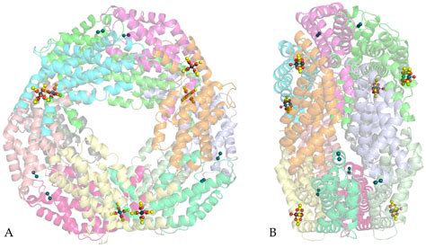 Coordination Of A Dirhodiumii Center To Methionine And Cysteine Side