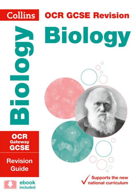 OCR Gateway GCSE Biology Revision Guide By Collins Issuu