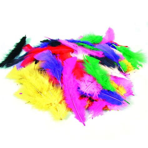 Assorted Feathers Bulk Saver Eduspace Supplies