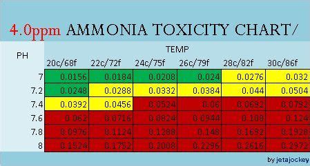 Understanding Ammonia Toxicity