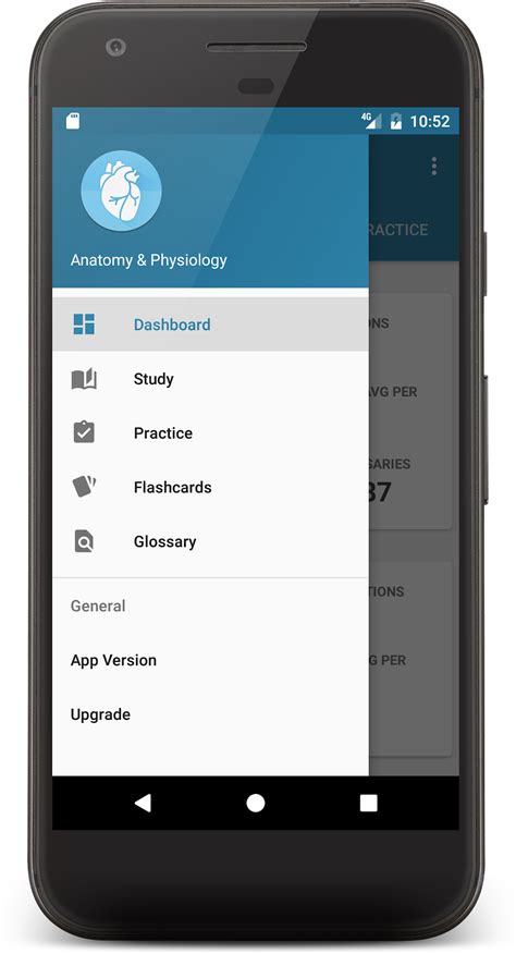 Anatomy Physiology Apk For Android Download
