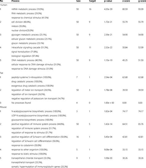 G Score Z Score And P Value Of The Most Relevant Networks Download Table