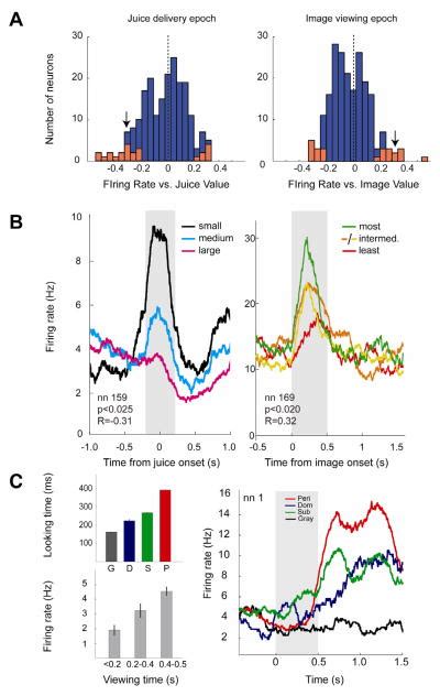 Social Signals In Primate Orbitofrontal Cortex Abstract Europe Pmc