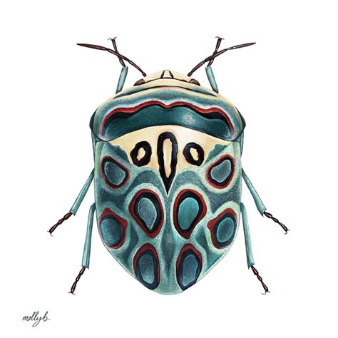 Picasso Bug Digital Print Etsy