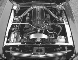 1967 1968 Mustang Under Hood Stainless Trim