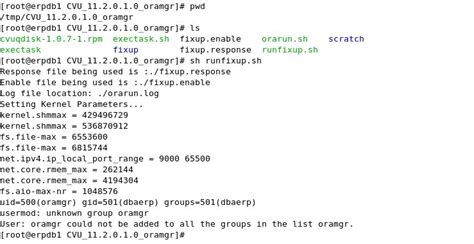 Oracle 11gr2 Database Upgrade In Apps R1211