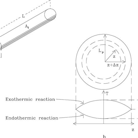 11 A Ideal Cylindrical Catalyst Pellet B Cut Through A Cylindrical