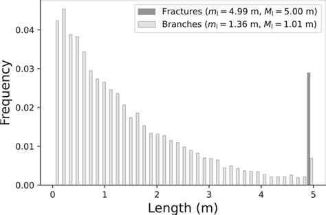 Length Distributions Of Fractures And Branches In The Artificial