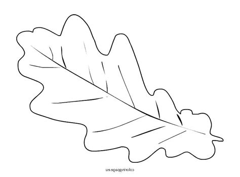 Oak Leaf Drawing Template At Explore Collection Of