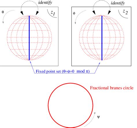 Two Sections Of The Brane Moduli Space Of The Orbifold Theory With The