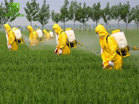 Phân Bón Vi Sinh Vật At Biodecomposer Trichoderma Nước