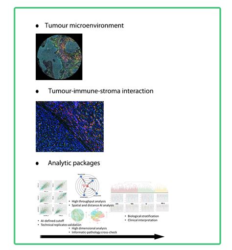 Multiplex Ihc Immuno Mapping