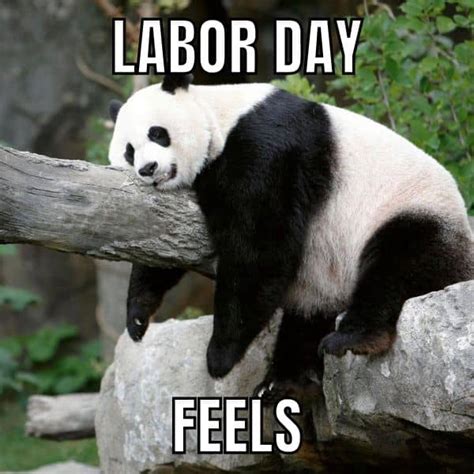 25 Labor Day Memes For Celebrating Long Weekend In 2023