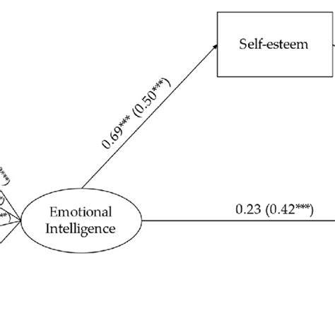 A Multigroup Model Comparison Of The Mediating Effect Of Self Esteem