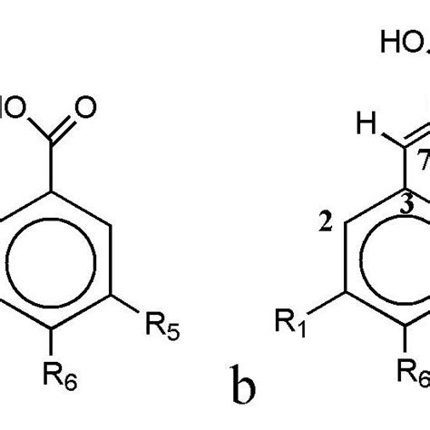 General Structures Of P Hydroxybenzoic Hb A And P Hydroxycinnamic