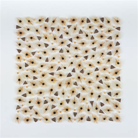 Flutter Lost Bear Gallery