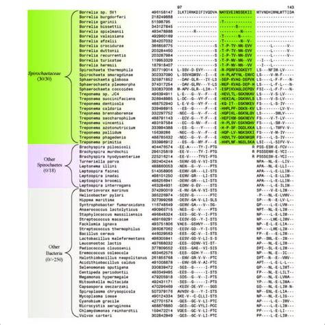 A Partial Sequence Alignment Of The Flagellar Basal Body Rod Protein