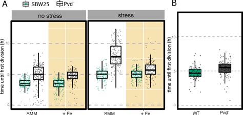 Figure 4 From D R A F T Polar Accumulation Of Pyoverdin Facilitates Rapid Exit From Stationary