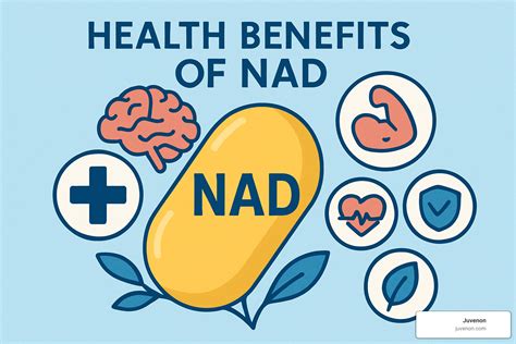 Why Everyones Talking About Nad And Its Health Benefits Juvenon