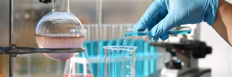 Custom Synthesis Of Functional Polymers Labinsights