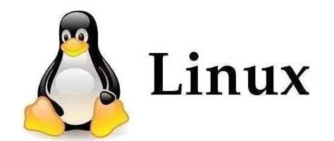 Linux Tcp 网络数据接收流程 Napi 知乎