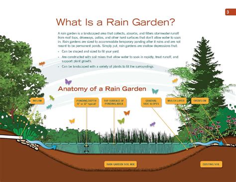 Rain Garden Diagram Earthcorps