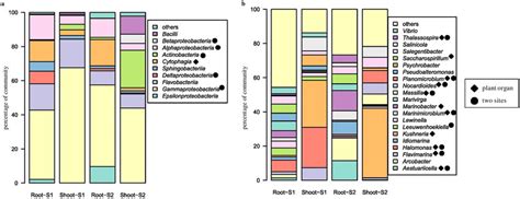 Endophytic Bacterial Community Structure At Class A And Genus B