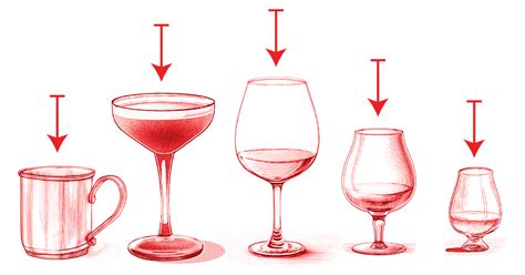 The Real Reasons Beer Wine And Cocktails Are Served In So Many Different Types Of Glasses A