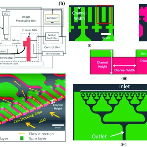 High Throughput Automated Microinjection Device For Small Adherent Download Scientific Diagram