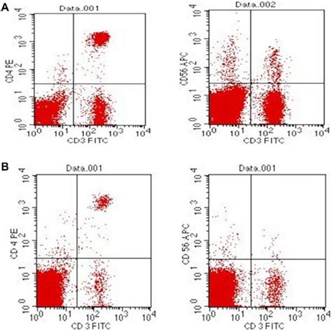 Representative Dot Plots Demonstrating The Percentage Of Bone Marrow