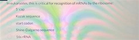 Solved In Eukaryotes This Is Critical For Recognition Of