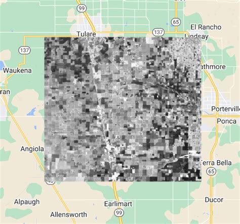 Gee Tutorials Interpreting Image Series Exploring Lagged Effects In