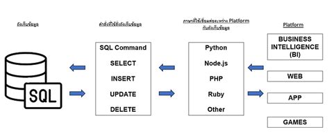 Part 4 Conditional รวมคำสั่ง Sql ใช้บ่อย ไว้เปิดดูตอนทำงาน S
