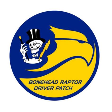 95 Fs Raptor Driver Patch 95th Fighter Squadron