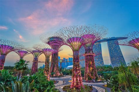 Arrowpoint Secures Investment From Cppib And Seviora Capital Asia
