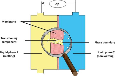 Membrane‐supported Liquid‐liquid Extraction Where Do We Stand Today