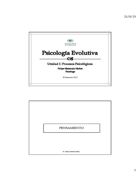 Procesos Psicológicos Superiores Pdf Inteligencia Aprendizaje