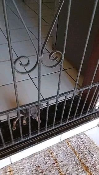 Danielle De Freitas Paz Danielledefreitaspaz • Instagram Photos And Videos