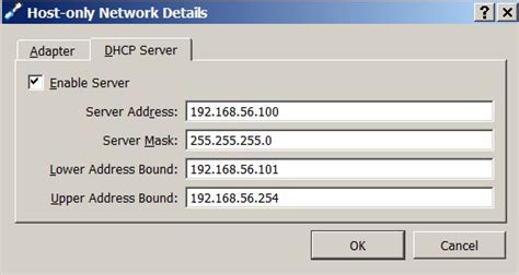 Networking Ipaddress Of My Vm Doesnt Look Correct Super User
