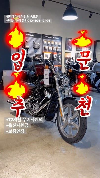 할리데이비슨 강력입문추천 소프테일스탠다드 최고가성비 Youtube